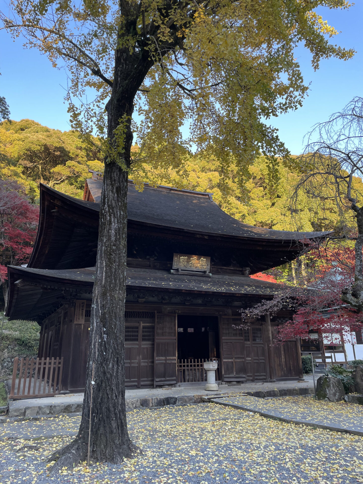 秋深し… – 株式会社住ミテル